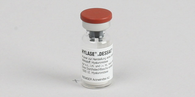 하이라제 데사우 주 [1500iu] ( Hylase Dessau inj [1500iu]) | 의약품정보 | 의료정보 | 건강정보 ...