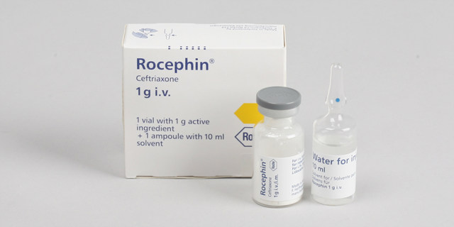 로세핀 주 [1g] ( Rocephin inj [1g]) | 의약품정보 | 의료정보 | 건강정보 | 서울아산병원