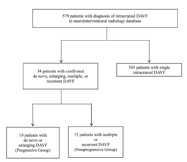 두개내 동정맥루(DAVF, Dural arteriovenous fistula)의 형태에 따른 특징 및 예후 | 신경중재최근동향 ...
