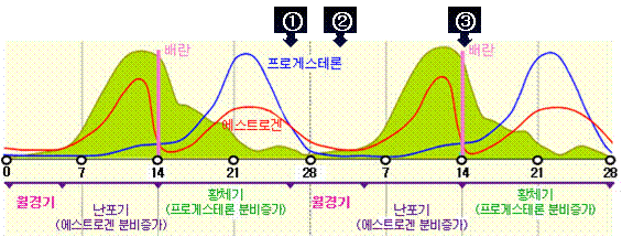 월경성 뇌전증 여성뇌전증 뇌전증정보 뇌전증클리닉 서울아산병원